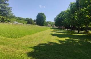 Cergy - Parc Anne et Gérard Philipe